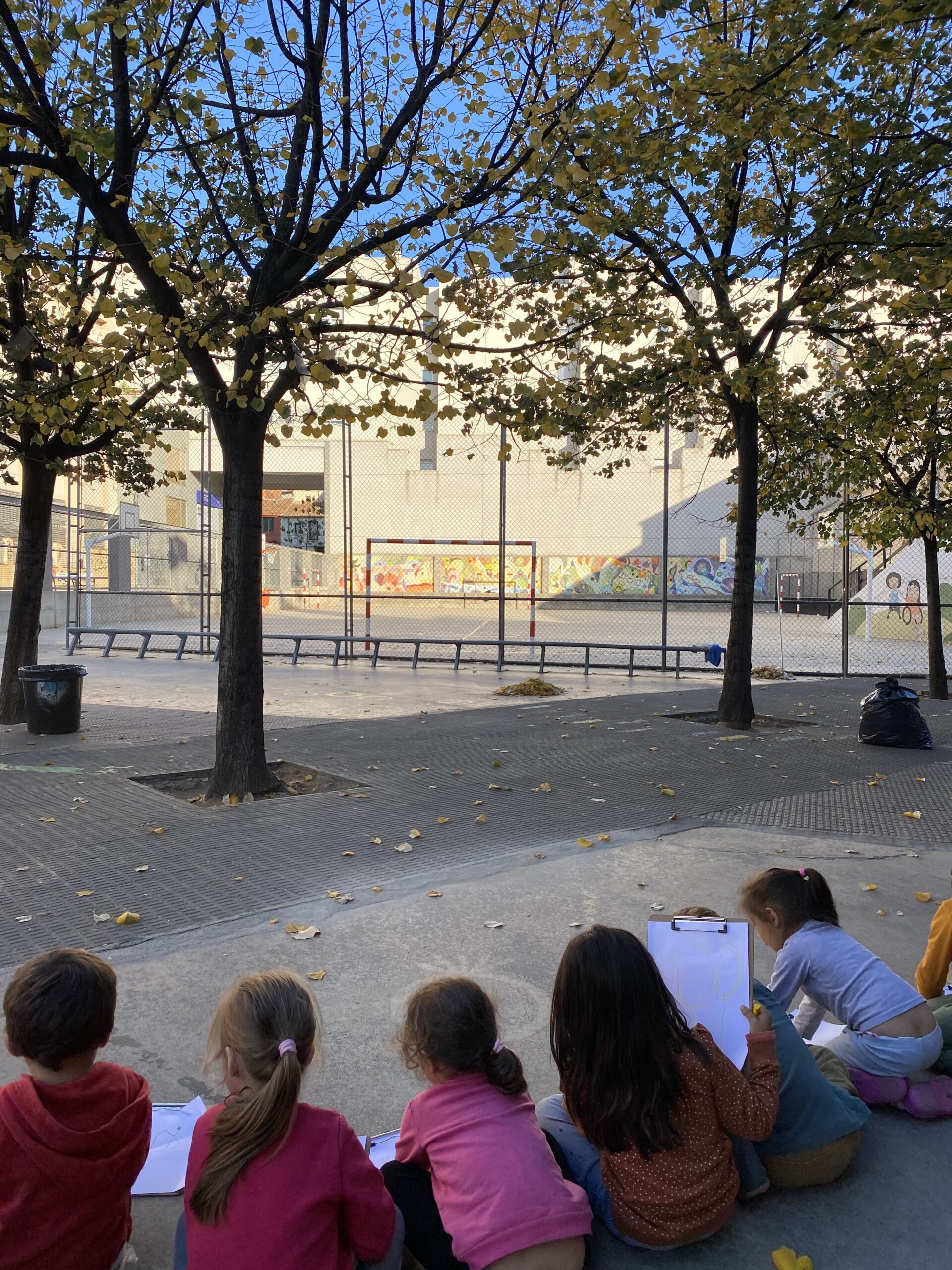 Els arbres del pati. – Escola Lanaspa-Giralt
