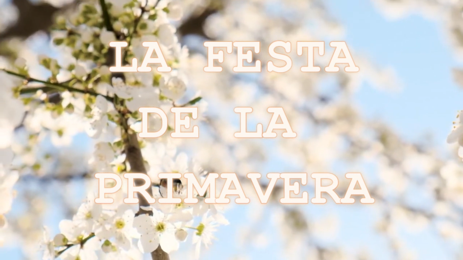 Festa de la primavera | Escola Pax