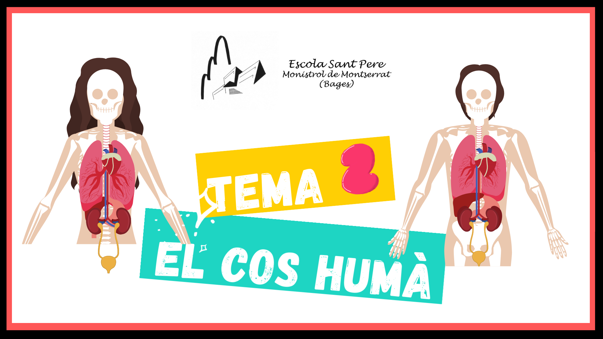 Fem Treball Cooperatiu Per Treballar El Cos Humà Escola Sant Pere