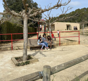Escola Pericot | #Coneix _Crea _Creix
