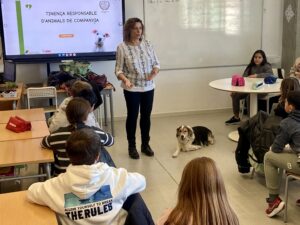 Escola Pericot | #Coneix _Crea _Creix