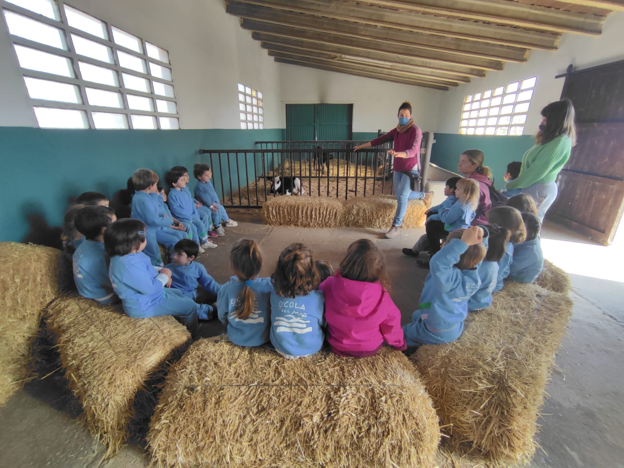 Les Tortugues a Can Mas Pasqual – Escola del Mar