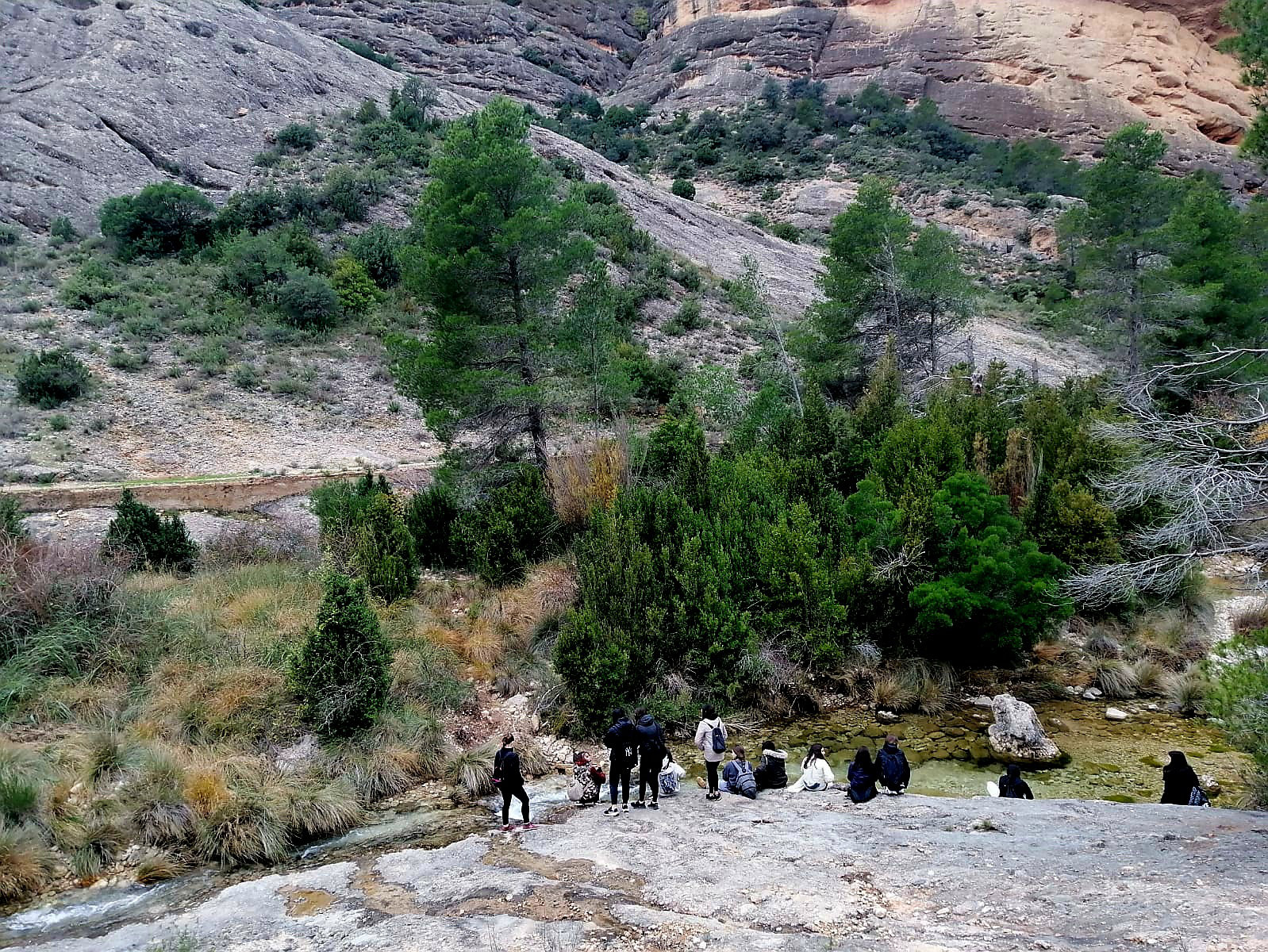 Classe de biologia en ple Parc Natural, quin privilegi! – INS Terra Alta