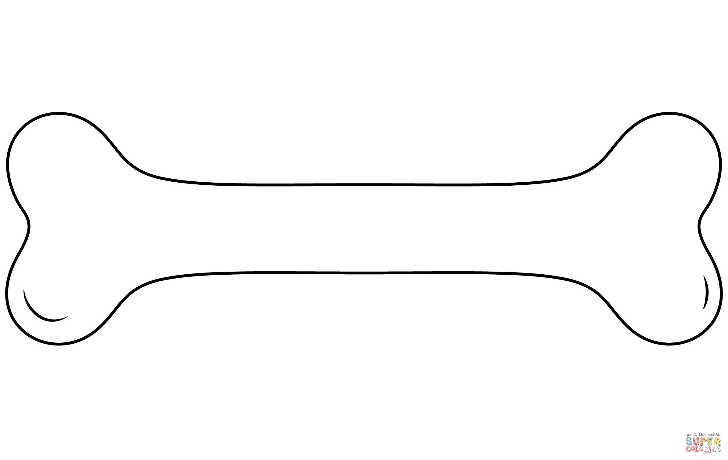 LA COLUMNA VERTEBRAL – ZER COMTE ARNAU